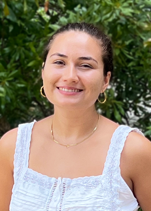 NSSPI student investigates applying uncertainty quantification to ... NSSPI student investigates applying uncertainty quantification to ...
